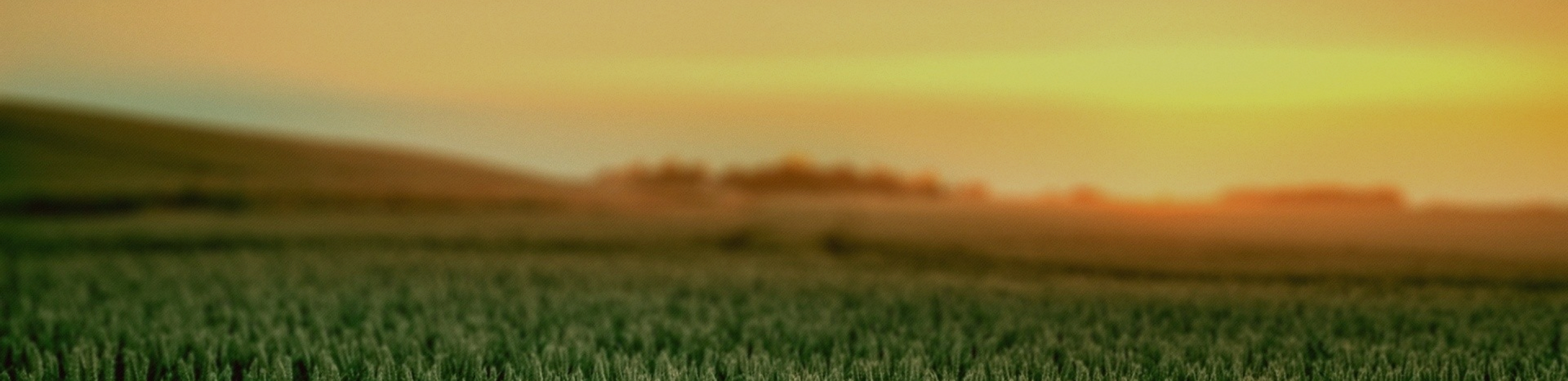 KIOTI CX2510 Compact Tractor | The Best Tractors for Unmatched…